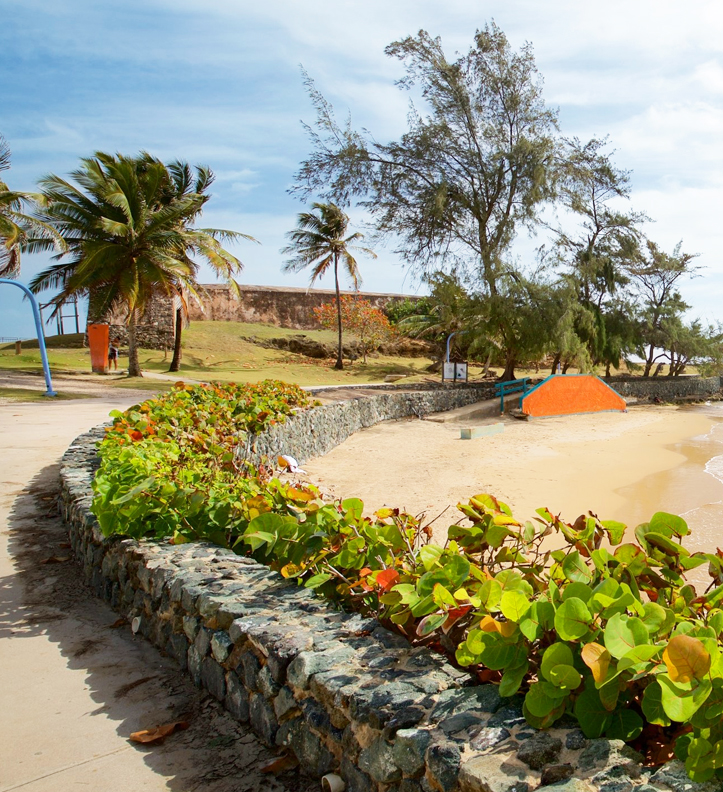 All Tours - Welcome To Puerto Rico Taxi & Tours