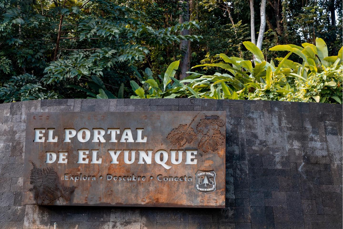 El Yunque Rainforest El Portal Visitor Center – Puerto Rico Taxi & Tours